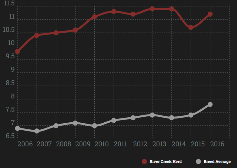 Our Brand Calving Ease | River Creek Farms