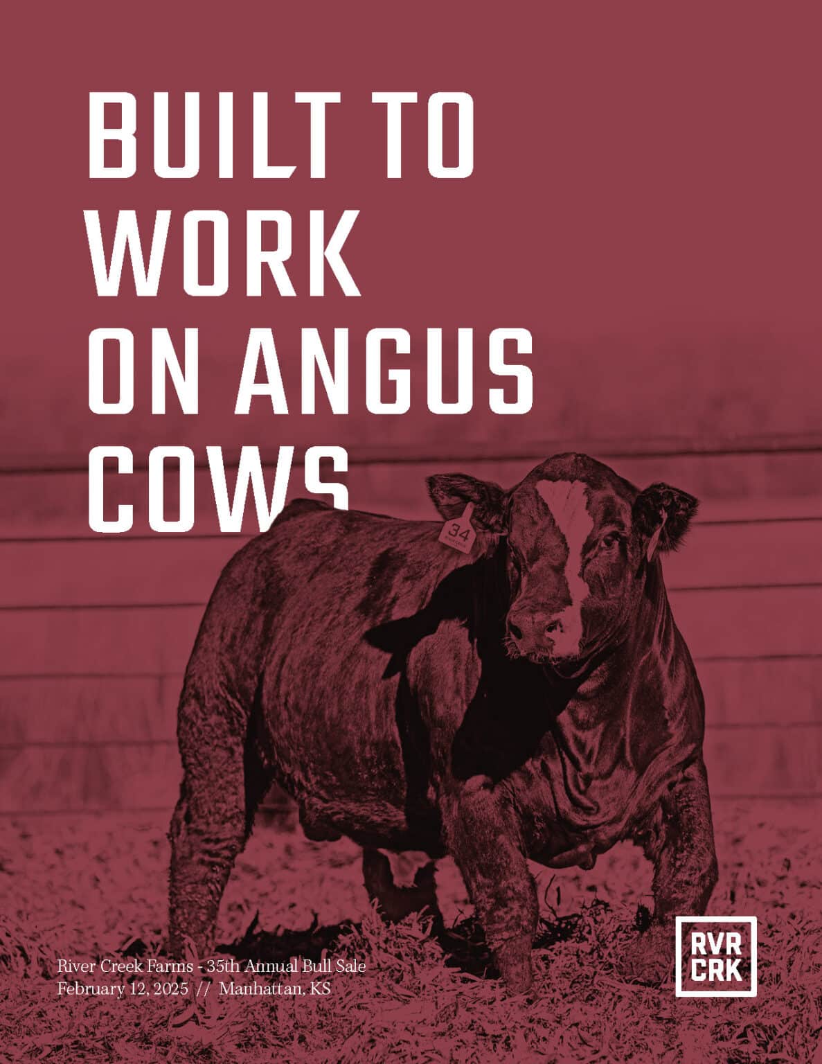 2026 Spring SimAngus Bull Sale | River Creek Farms