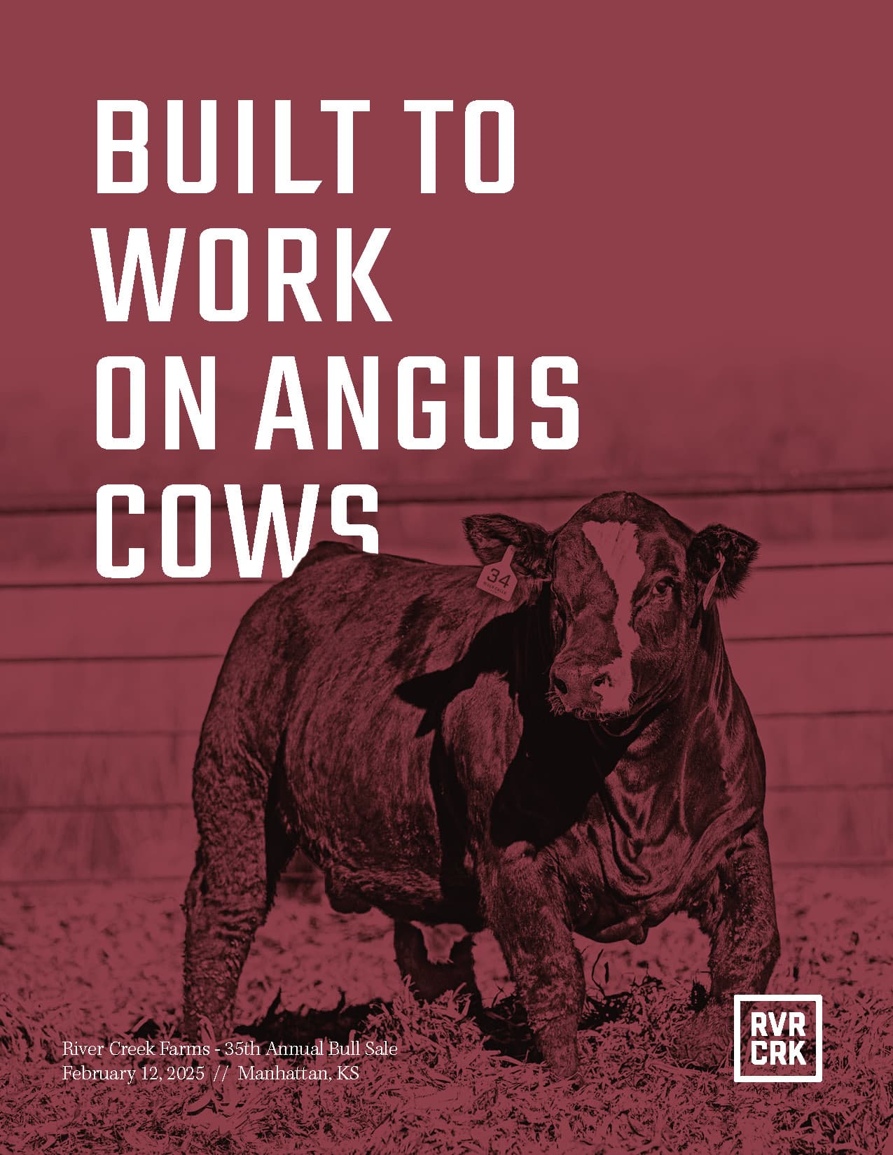 River Creek Farms: Premium Angus Bulls for Sale