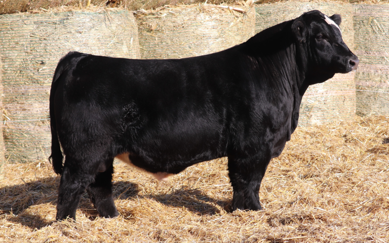 W/C HEADSHOT 957M | River Creek Farms